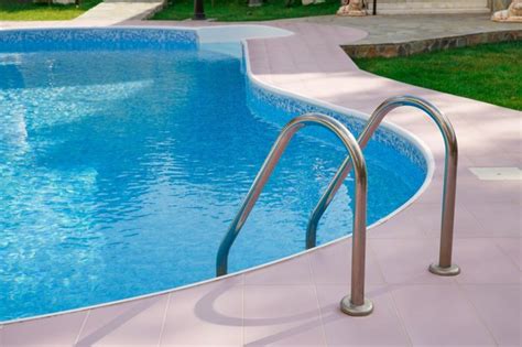 How To Get Rid Of Springtails In Your Swimming Pool Hunker