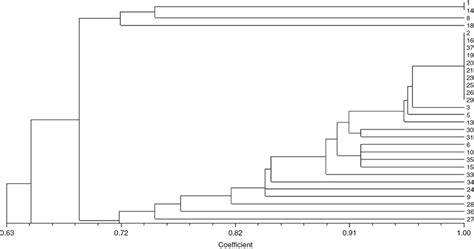 A Phylogenetic Tree Analysis Of Pcr Rapd Download Scientific Diagram