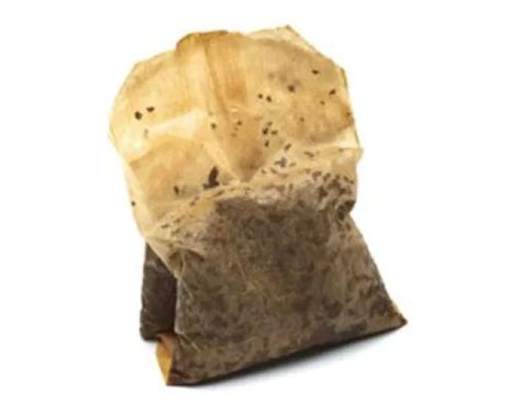 Sachet De Thé Dans Les Toilettes Pourquoi Devriez Vous Le Jeter Là