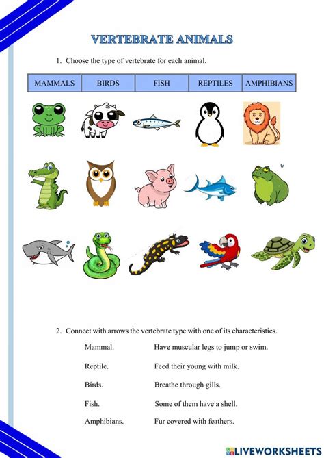 Pdf Online Worksheet Vertebrate Animals Live Worksheets