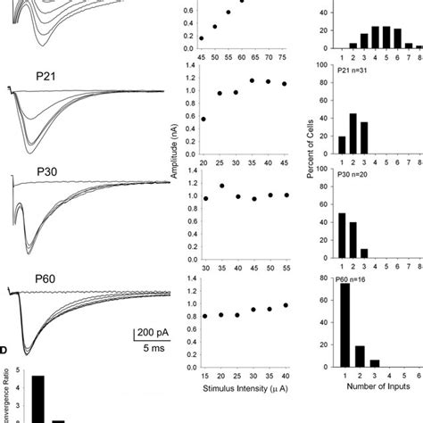 Patterns Of Excitatory Retinal Convergence Onto Dlgn Neurons A B