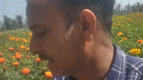 देखो कितने प्यारे प्यारे गेंनदे के फूल हे जी Youtube