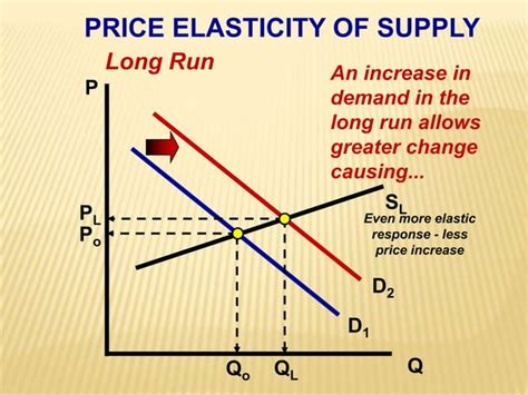 Ap Micro Elasticity Ppt