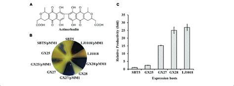 Heterologous Expression Of Actinorhodin By The Engineered S Lividans