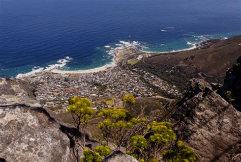 Festive Season Guide Cape Town Big 6