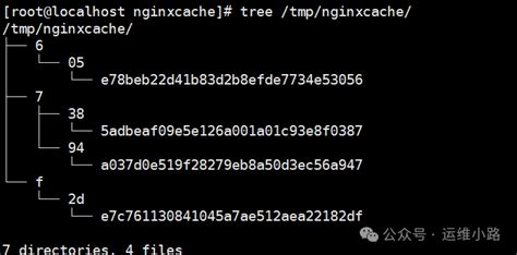 Web服务器 Nginx缓存服务器 腾讯云开发者社区 腾讯云