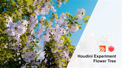 Houdini Experiment Flower Tree Hip File