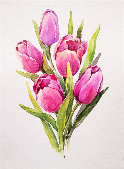 Рисуем тюльпаны акварелью поэтапно (много фото) - drawpics.ru