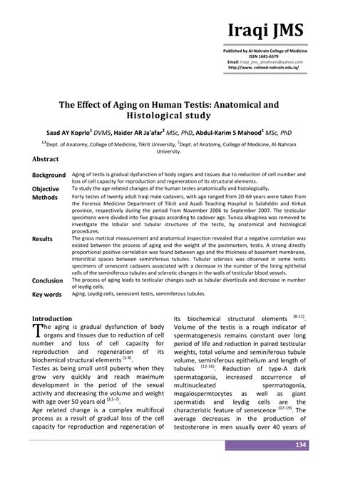 Pdf The Effect Of Aging On Human Testis Anatomical And Histological