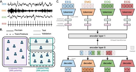 Promoting Cross Modal Representations To Improve Multimodal Foundation Models For Physiological