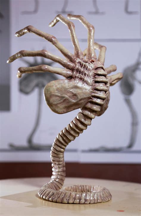 Facehugger Brain At Cody Chapple Blog