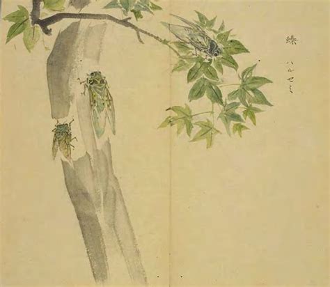 诗词 诗经 硕人
