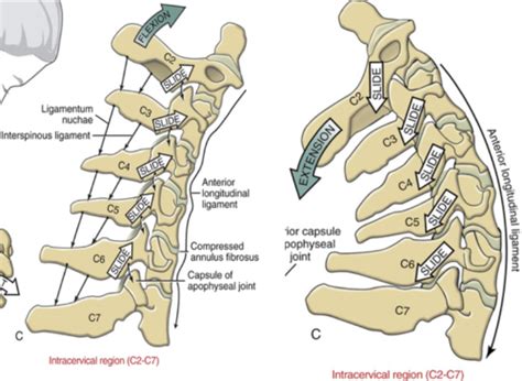 Part Zyex Physiotherapy Rehabilitation Center
