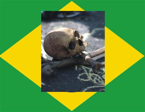 Anticonceptivos Para Perros Miedoteca