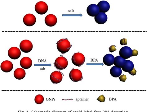 Figure 1 From Ultrasensitive One Step Rapid Visual Detection Of Bisphenol A In Water Samples By