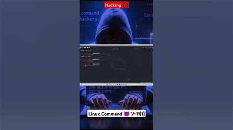 linux basics for hackers tutorial v 11 1 for beginners learn