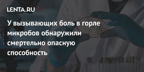 У вызывающих боль в горле микробов обнаружили смертельно опасную способность Наука Наука и