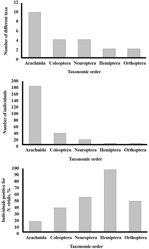 Detectability Of Hibiscus Mealybug Nipaecoccus Viridis Hemiptera Pseudoccocidae Dna In The