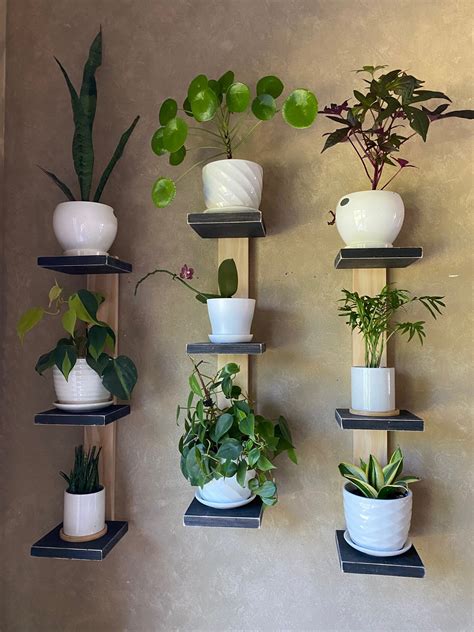 Plant Shelf 3 Tiered Shelf Floating Shelf Cat Proof Shelf Plant