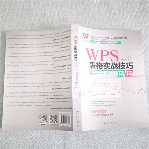 2021新书 Wps表格实战技巧精粹 Excel Home编 Excel函数公式大全计算机教程书籍自学全套办公软件零基础书电脑wps表格制作