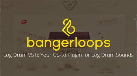 Log Drum Vsti Your Go To Plugin For Log Drum Sounds Bangerloops
