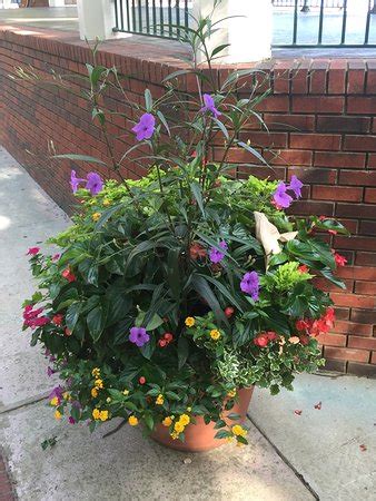 Marietta Square Farmers Market 2020 All You Need To Know Before You