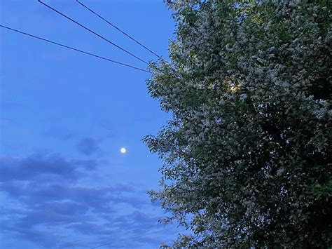 Создать мем "ночь луна, безоблачное небо, звездное небо весна ...