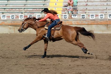 Megan Etcheberry From Rodeo Girls Barrel Racing Pro Rodeo Équitation