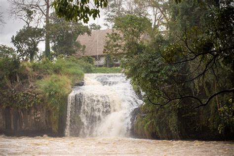 Air Terjun Hutan Alam Foto Gratis Di Pixabay Pixabay