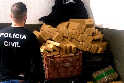 Polícia Civil Apreende 77 Toneladas De Maconha Em Menos De Uma Semana
