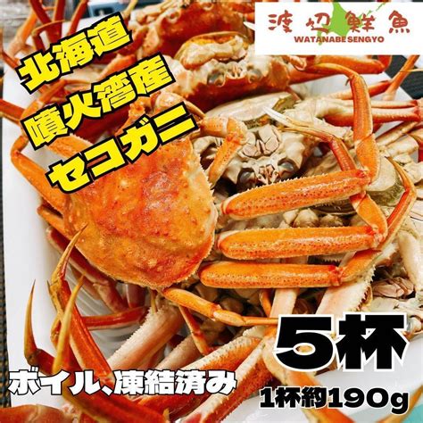 【未使用】1円〜 特別！大人気のセコガニ 特大 ズワイガニ セコガニ3杯 オスズワイガニ2杯の計5杯北海道産 ボイル 蟹カニの落札情報詳細