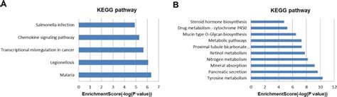Meta Signature Lncrnas Serve As Novel Biomarkers For Colorectal Cancer