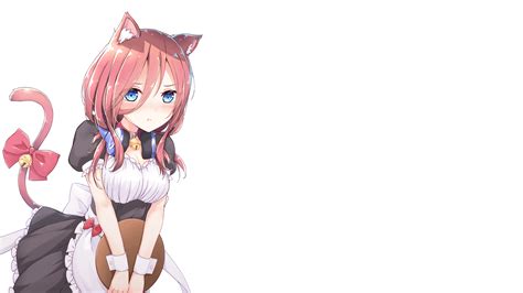 Neko Maid Miku Is Waiting For Your Order The Quintessential