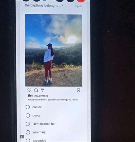 The Captions Belong To Poin Likes Studyx
