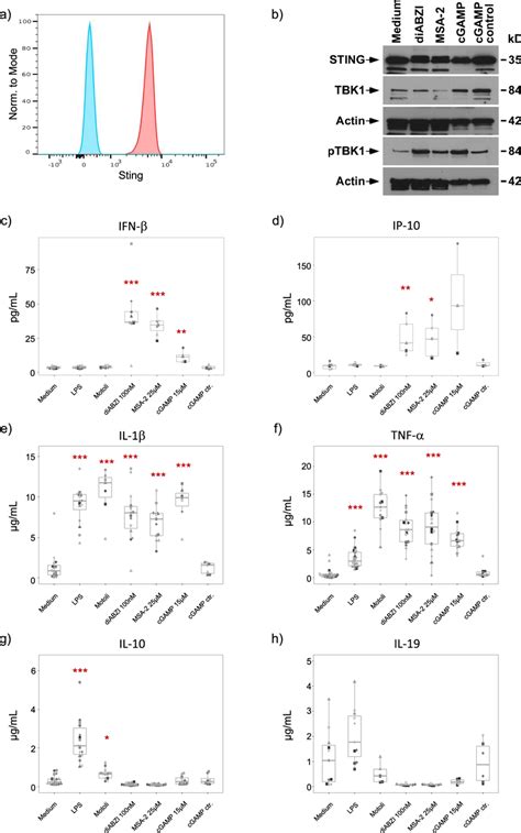 Responsiveness Of Monocytes To Sting Ligands Purified Monocytes Were