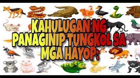 10 Mga Panaginip At Ang Mga Ibig Sabihin Nito Kahulugan Ng Mga Hayop