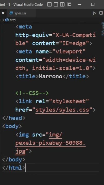 Grayscale Hover Effect Css Tutorial Shorts Youtube