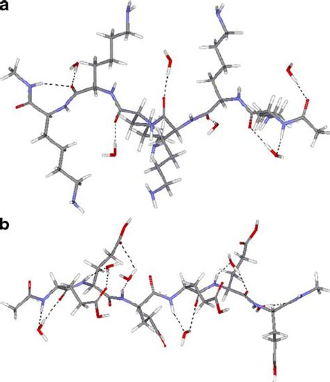 Optimized Geometry Of The Polyproline Ii Ppii Conformation Of A