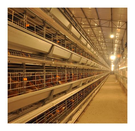 Hot Galvanized H Type 4 Tiers 5 Tires Automatic Battery Chicken Cage