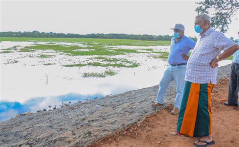 2025 07 01 රූපවාහිනී 08 00 සිංහල ප්‍රවෘත්ති 2025 07 01 Rupavahini Sinhala News 08 00 Pm