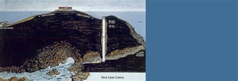 Americas Larges Sea Cave Sea Lion Cave Near Florence Oregon Sea