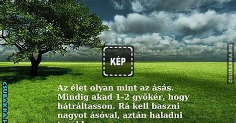 Az élet Olyan Mint Az ásás…