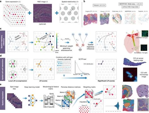 Sohye Yoon Phd On Linkedin Robust Mapping Of Spatiotemporal