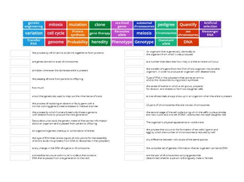 8th Grade U4 Vocab Patterns Of Inhertance Match Up