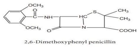 Penicillinase Resistant Penicillins Pharmacareerinsider