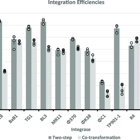 Overview Of The Site Specific Recombinase System For Dna Integration