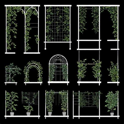 trellis vector set white background isolated a high quality premium