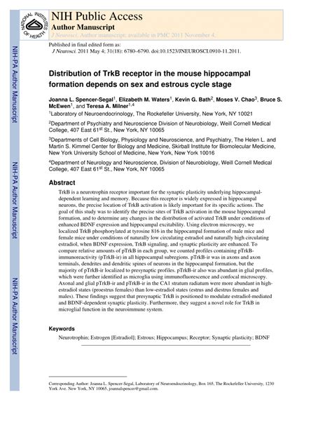 Pdf Distribution Of Phosphorylated Trkb Receptor In The Mouse