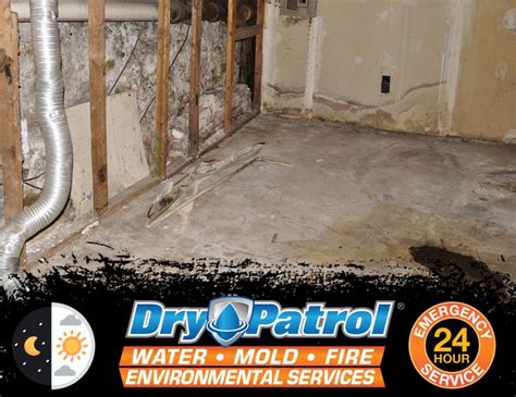 Basement Leaks Identify Water Type For Swift Mitigation Dry Patrol