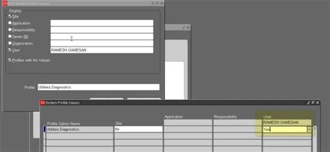 How To Enable Diagnostics In Oracle Applications R12 Dba365
